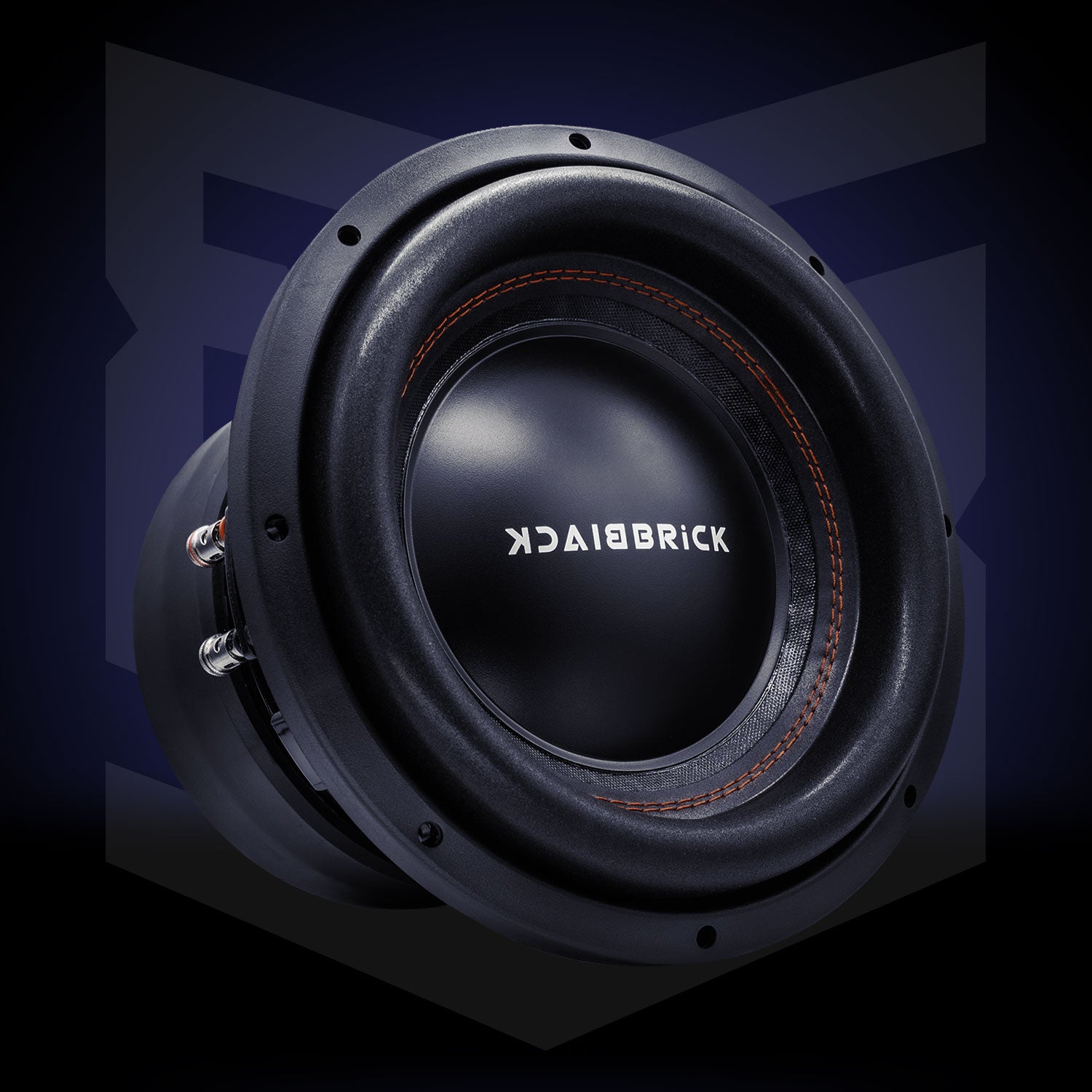 10" Subwoofers – Black Brick Audio